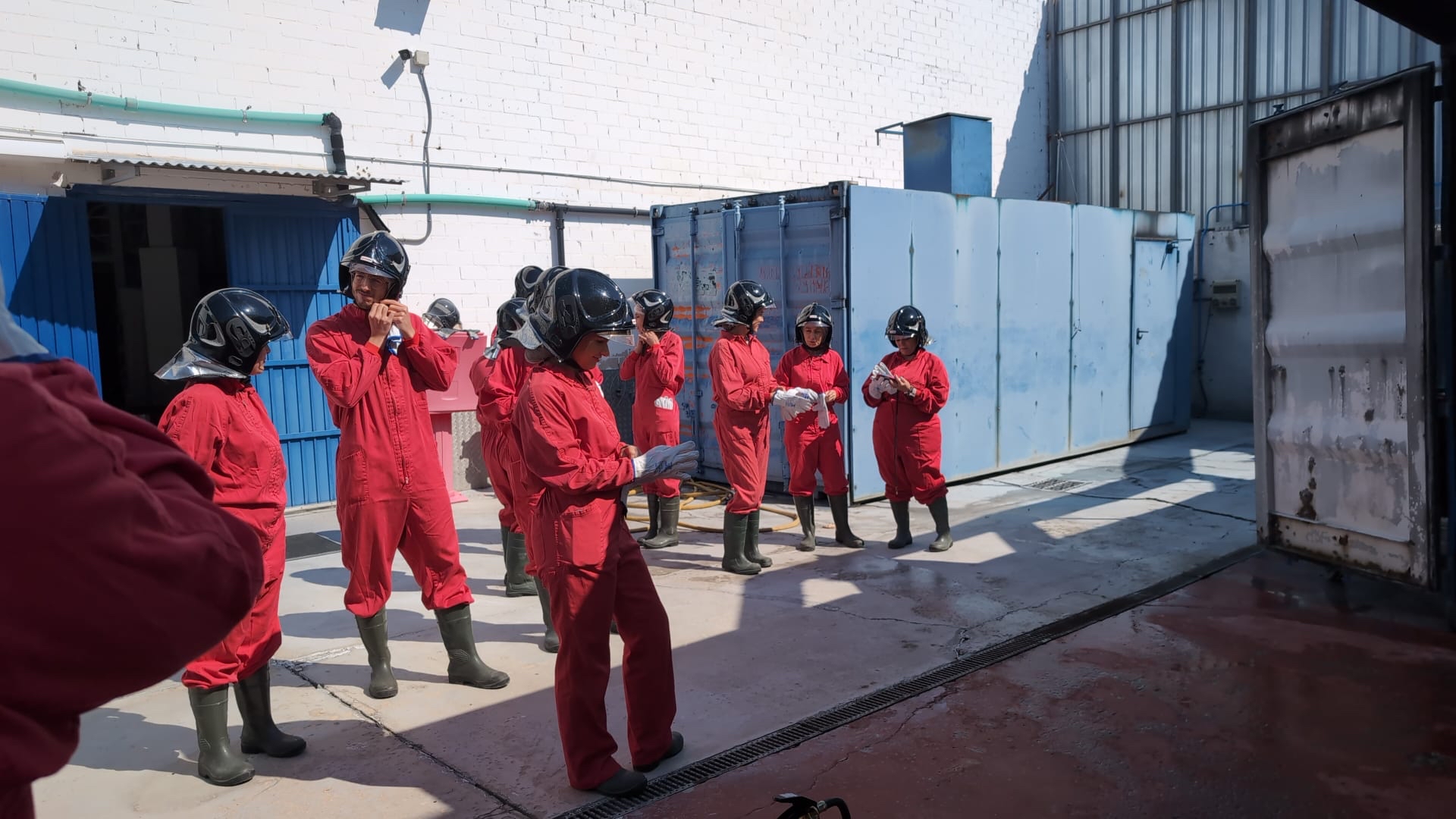 ¡Brigada Finlight al rescate! - Finlight
